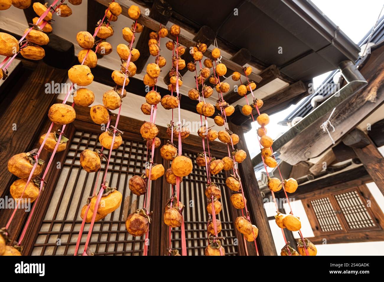 Dry persimmon hanging on the house Hanok traditional village in South ...