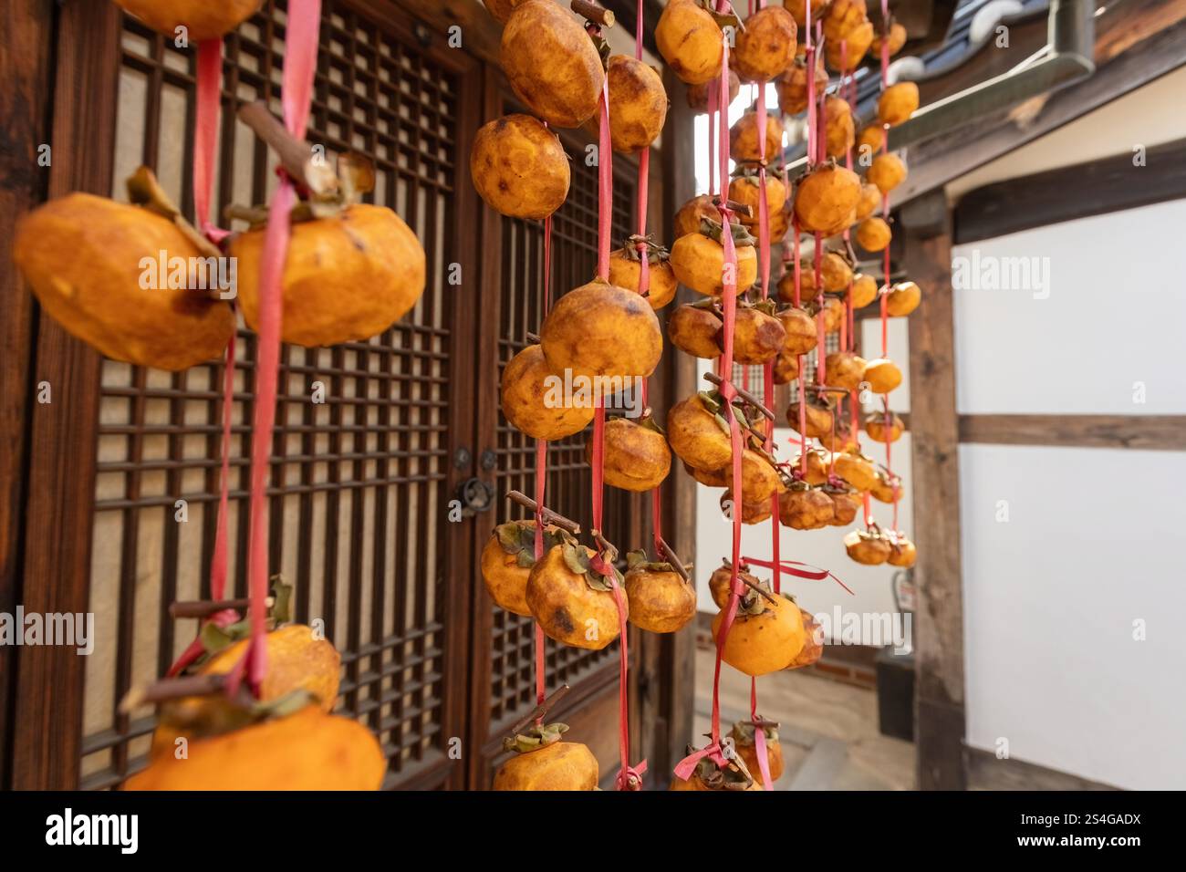 Dry persimmon hanging on the house Hanok traditional village in South ...