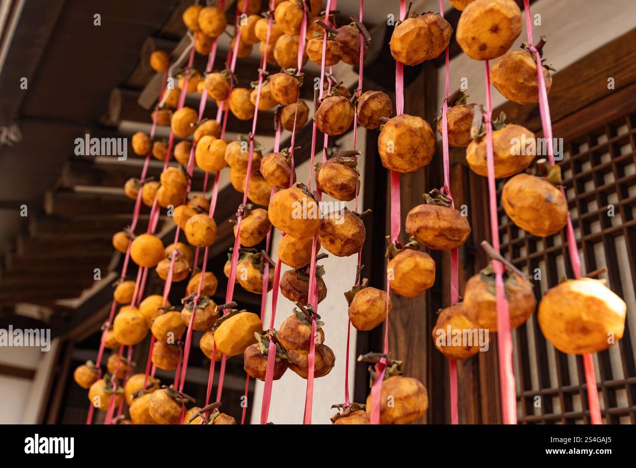 Dry persimmon hanging on the house Hanok traditional village in South ...