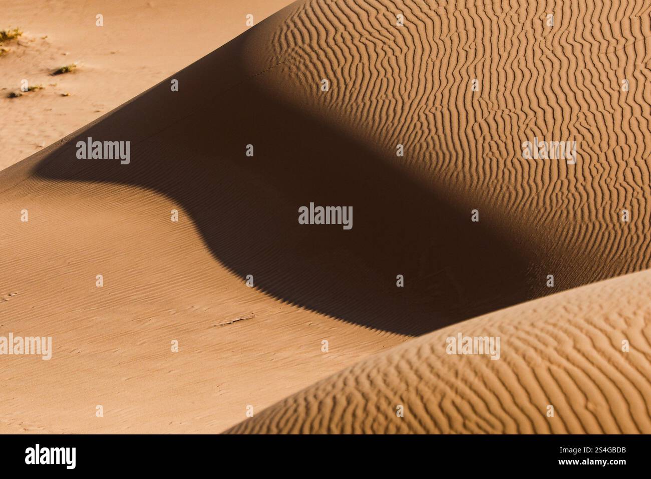 dunes, sand, sable landscape, paysage during the Stage 7 of the Dakar ...