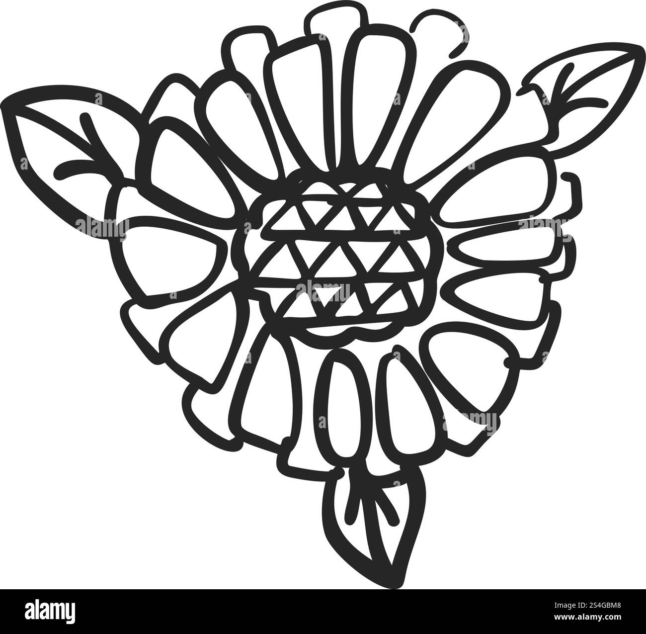 Wild calendula icon. Simple illustration of wild calendula vector icon ...