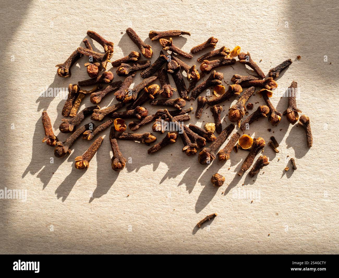 carnation spice CLOVE Stock Photo - Alamy