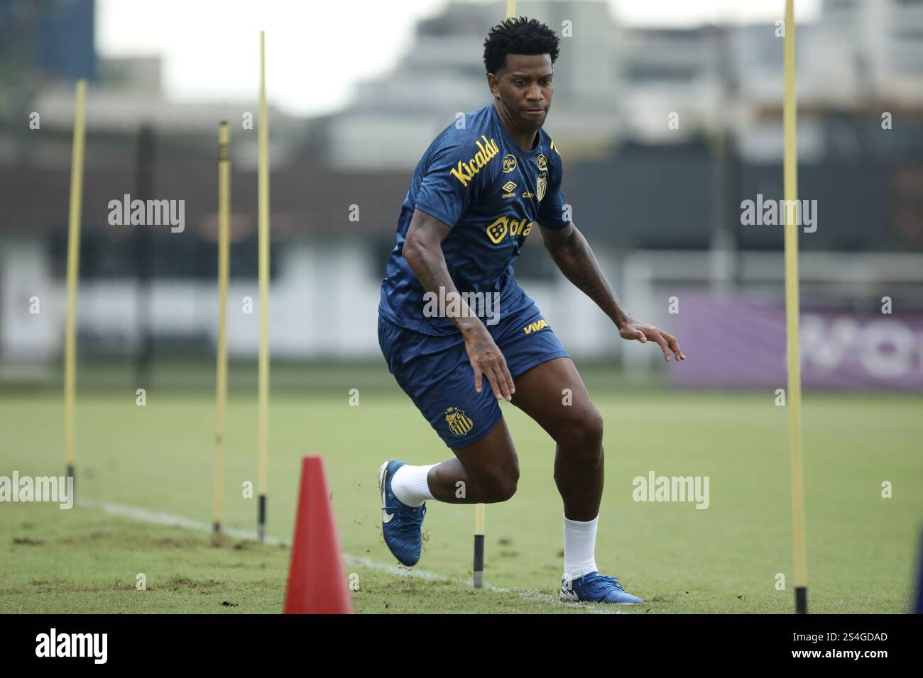 SP - SANTOS - 12/01/2025 - SANTOS, TRAINING - Gil, Santos player ...