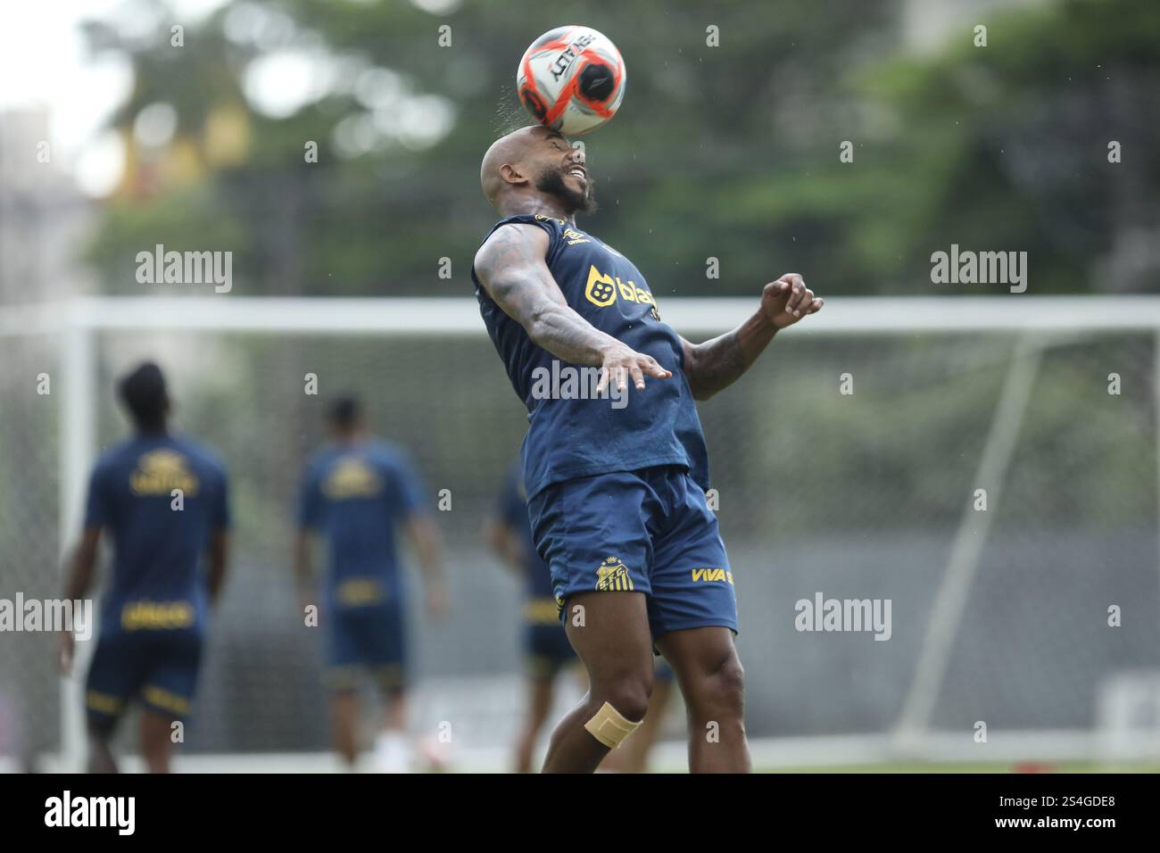 Santos, Brazil. 12th Jan, 2025. SP - SANTOS - 12/01/2025 - SANTOS ...