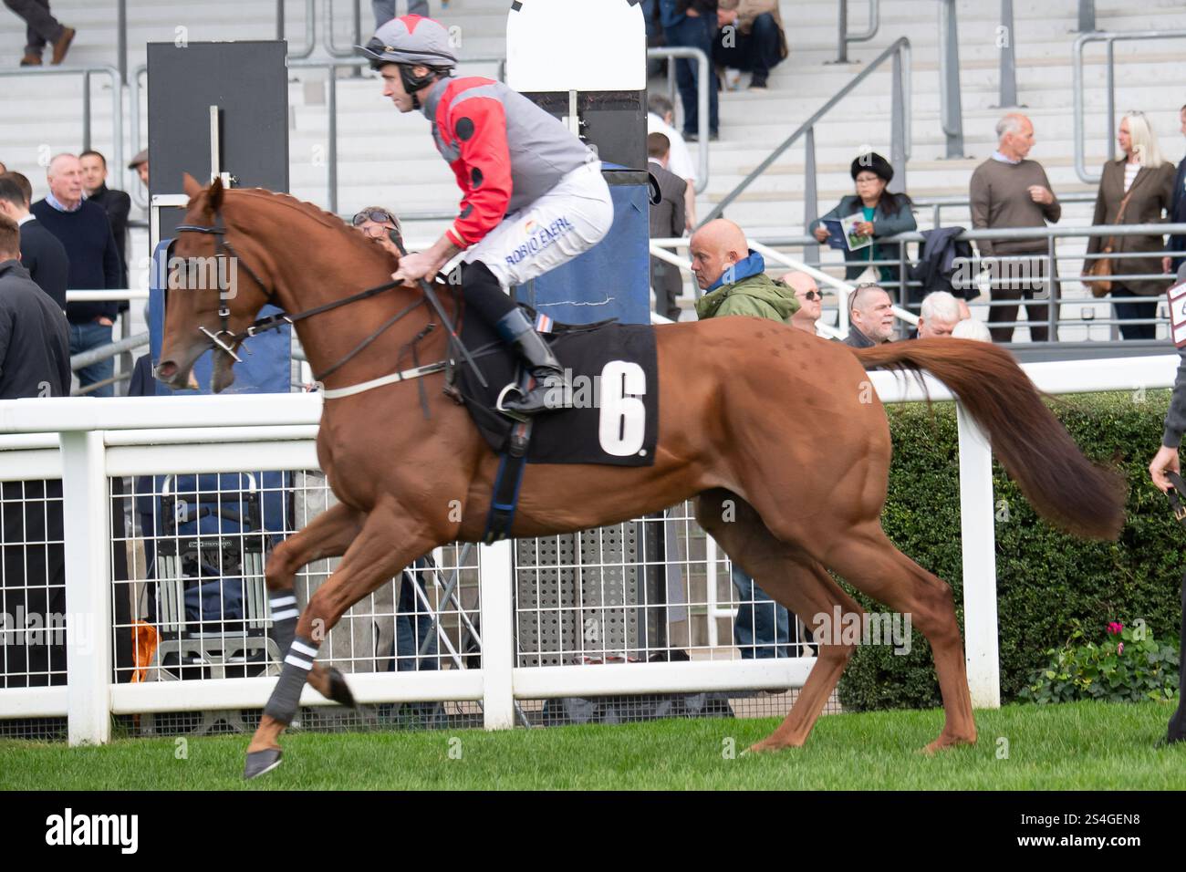 Thunder roar horse hi-res stock photography and images - Alamy