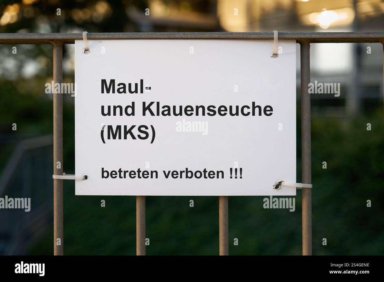 Sign with the German inscription Maul und Klauenseuche, betreten ...