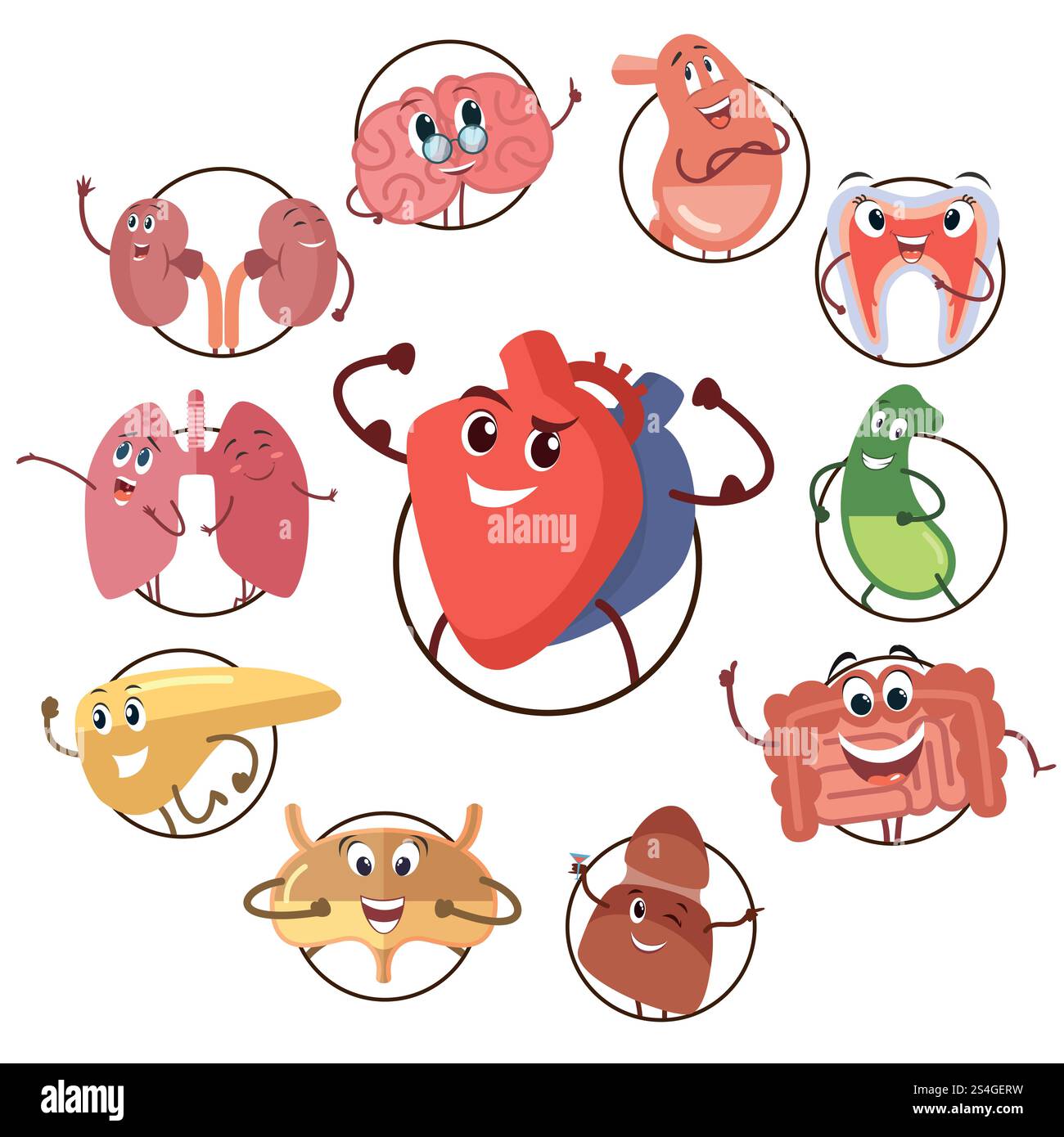 Funny medical icons of organs, heart, lungs, stomach. Set of round ...