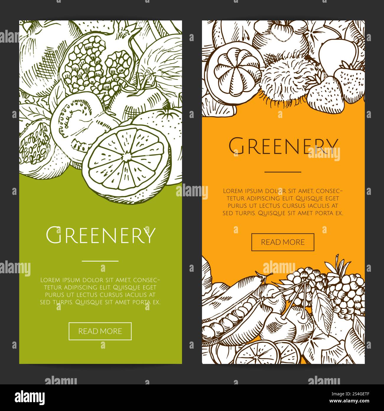 Vector doodle sketched fresh fruits and vegetables flyers, banners set ...