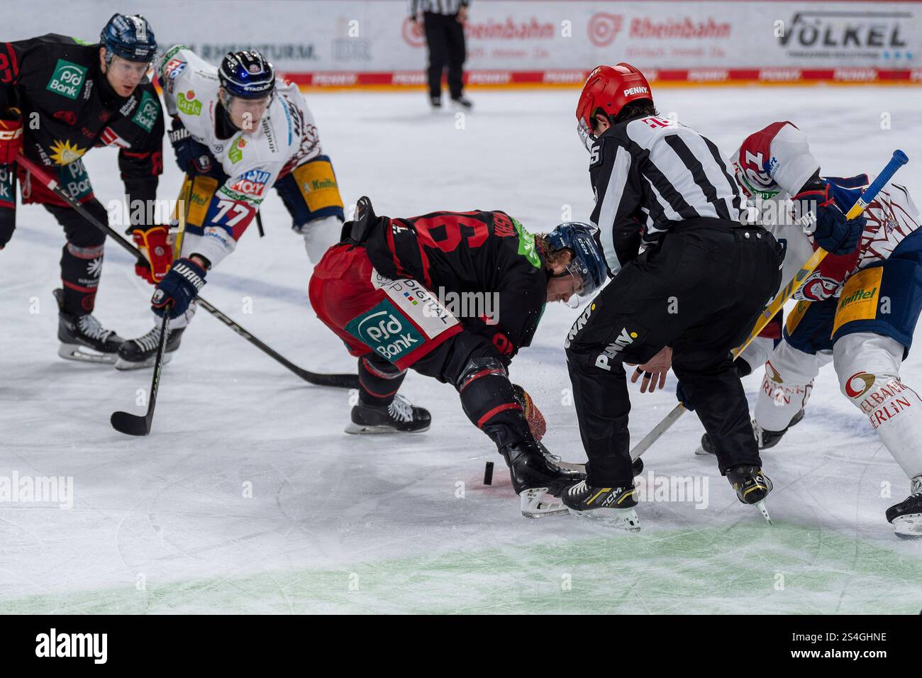 Bully, Kyle Cumiskey (Duesseldorfer EG, #16), Manuel Wiederer ...