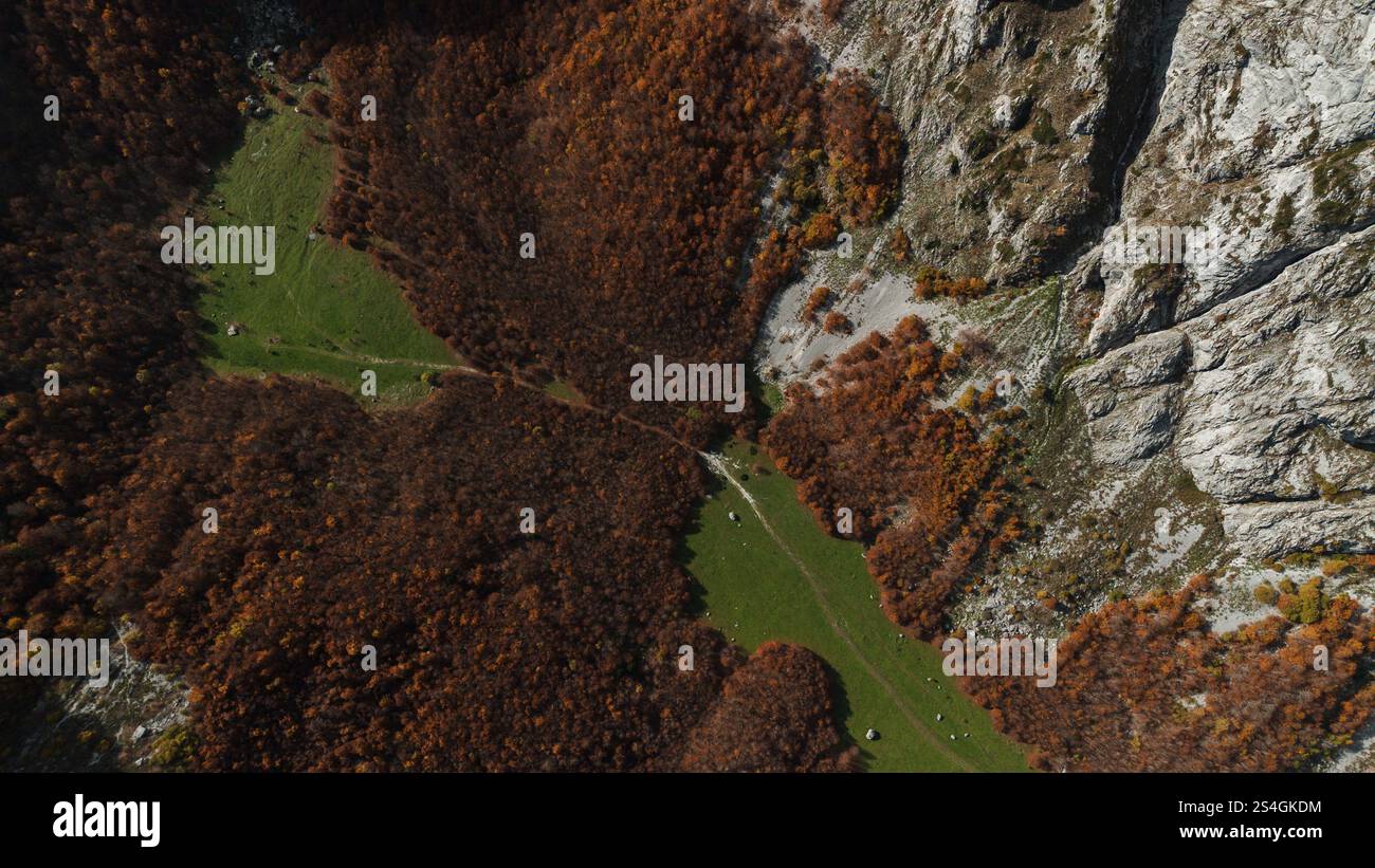 Autumn view of golden forest and green fields in the Grebaje Valley in ...