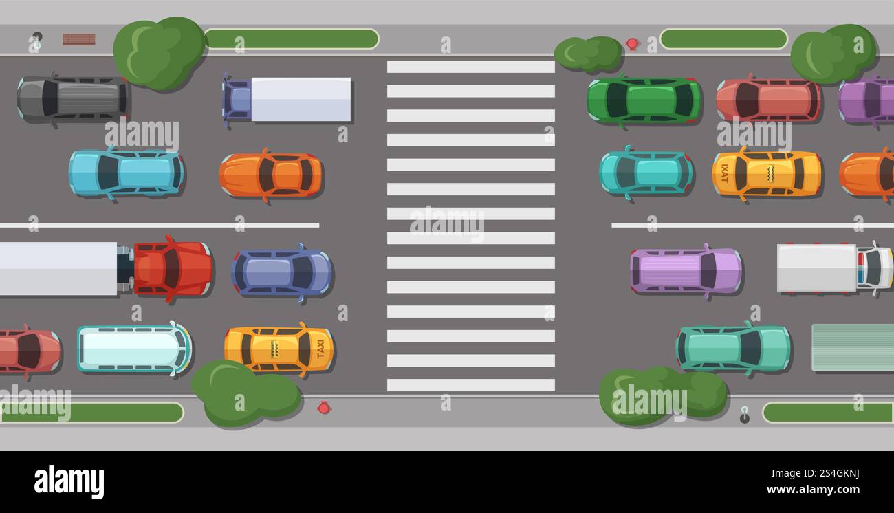 Vector road with cars in front of pedestrian zone with trees and grass ...