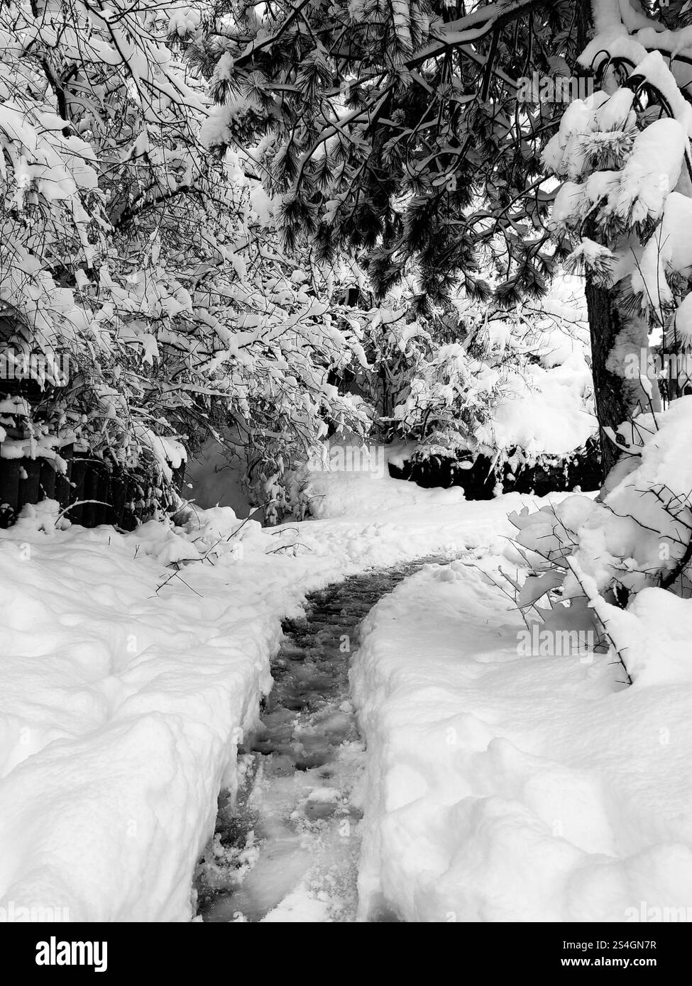 Winter season in city Black and White Stock Photos & Images - Alamy