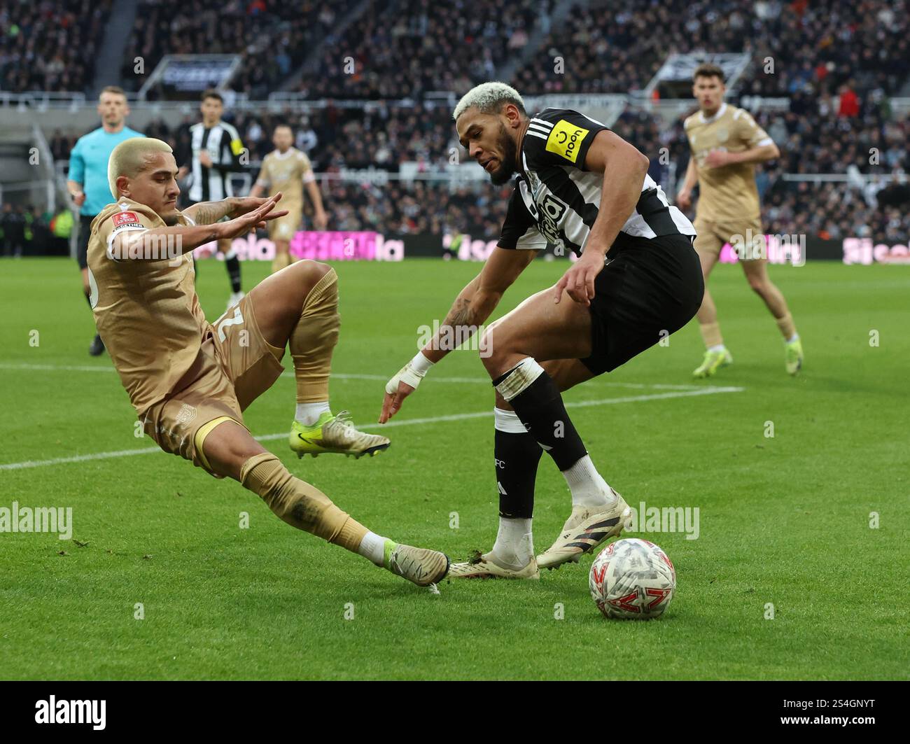 Newcastle Upon Tyne, UK. 12th Jan, 2025. Joelinton (R) of Newcastle ...