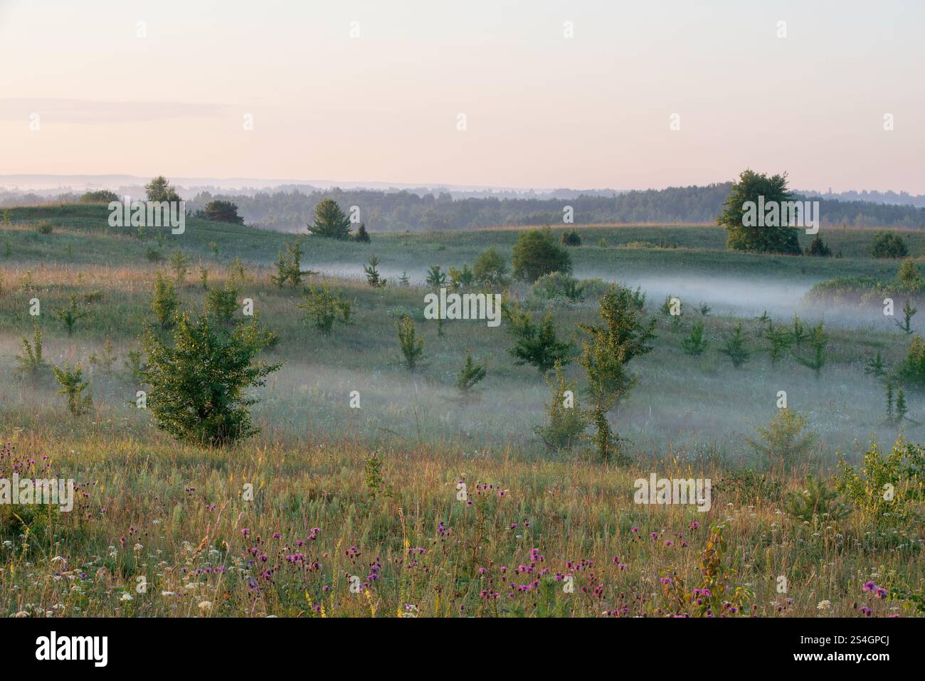 One of the most beautiful places in Belarus, the Braslav Lake natural ...