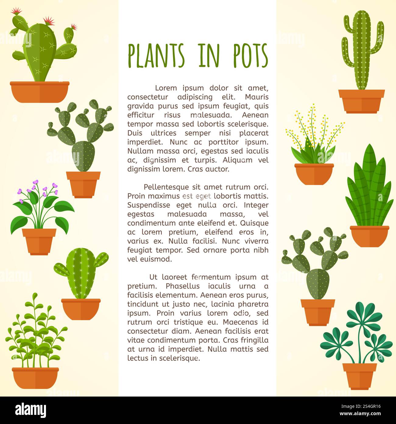 House plant and cactus vector brochure page template. Nature cactus ...
