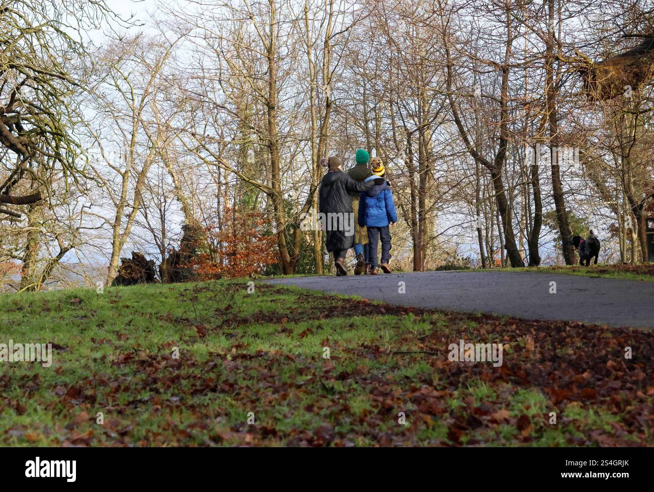 Moira Demesne, Moira, County Down, Northern Ireland, UK. 12 Jan 2025 ...
