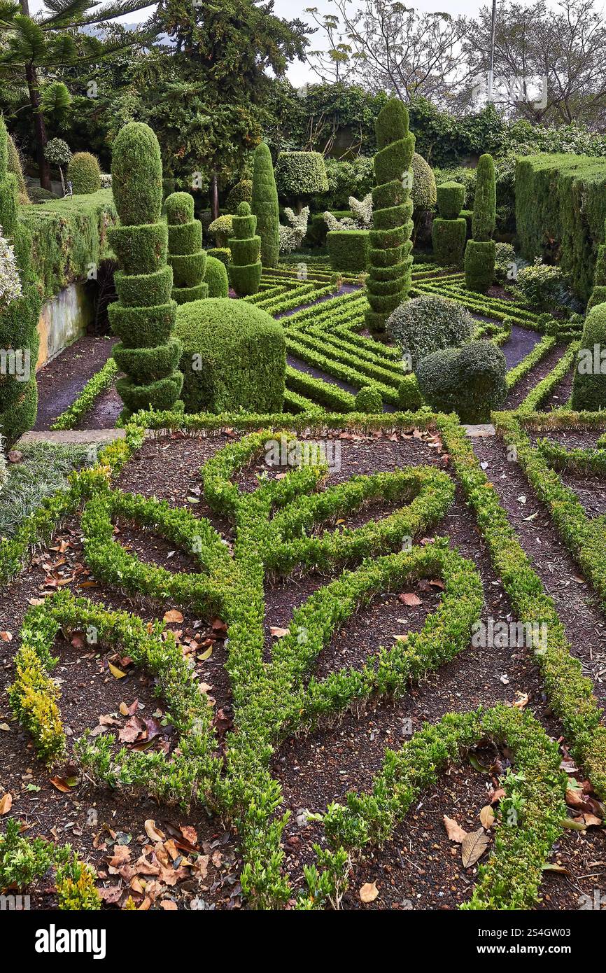 Detailed View of Ornate Boxwood Topiary in a Formal Sculpted Garden in ...