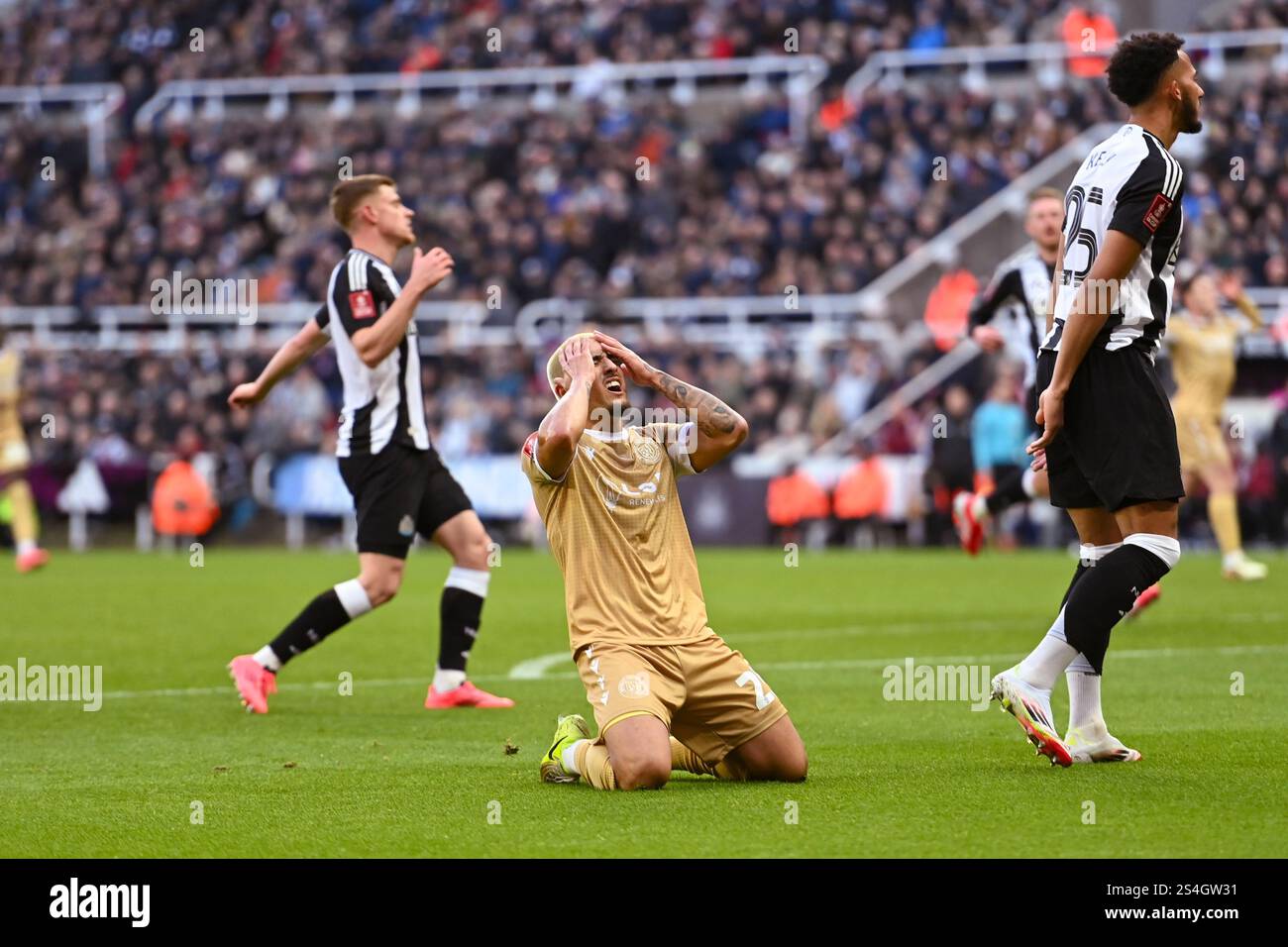 Newcastle Upon Tyne, UK. 12th Jan, 2025. St. James' Park NEWCASTLE ...