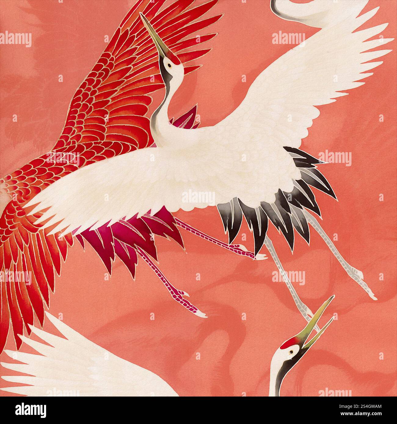 Japanese Cranes. White and red cranes flying over a vibrant and warm ...