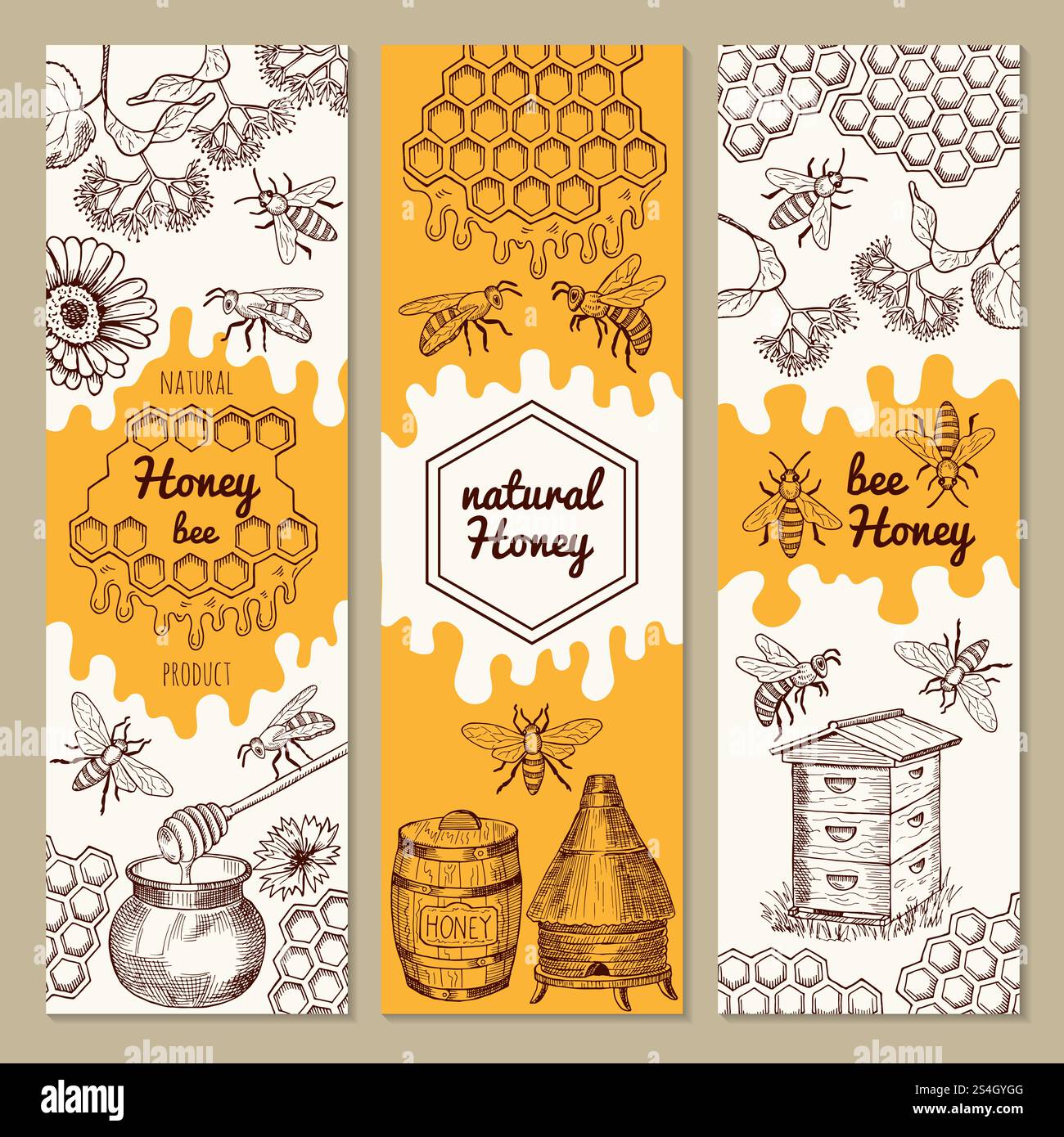 Banners with honey product pictures. Bee, honeycomb. Vector ...