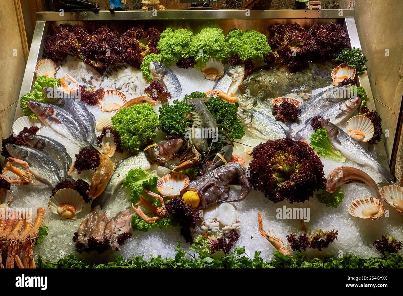 Fresh Seafood Display With Assorted Fish, Shellfish, and Lettuce on Ice ...