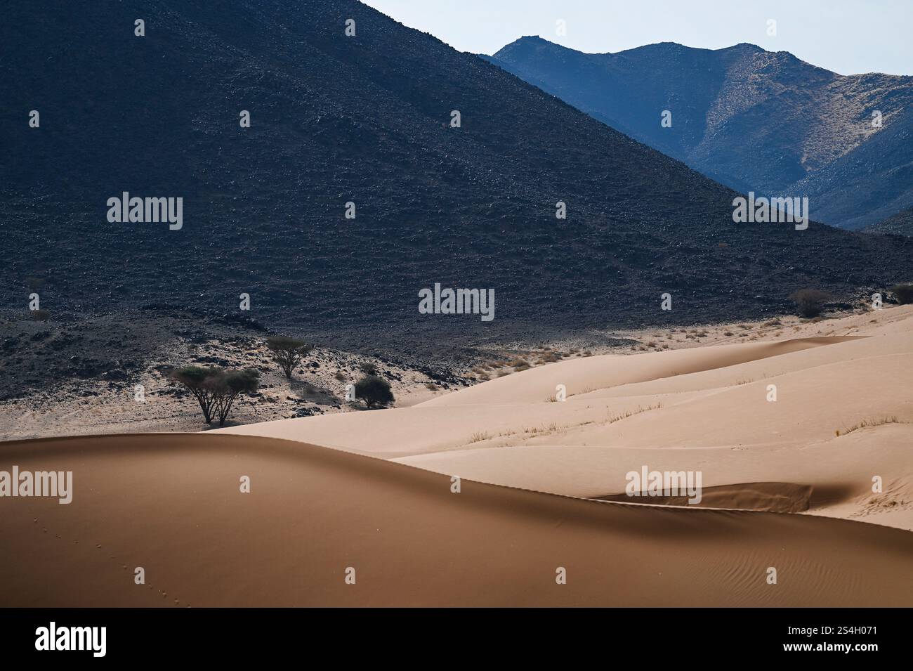 Al Duwadimi, Arabie Saoudite. 12th Jan, 2025. paysage landscape during ...
