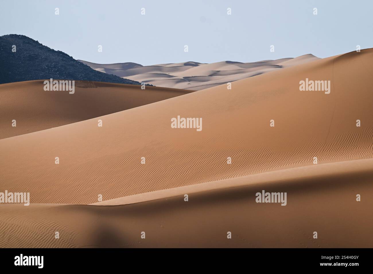 Al Duwadimi, Arabie Saoudite. 12th Jan, 2025. paysage landscape during ...