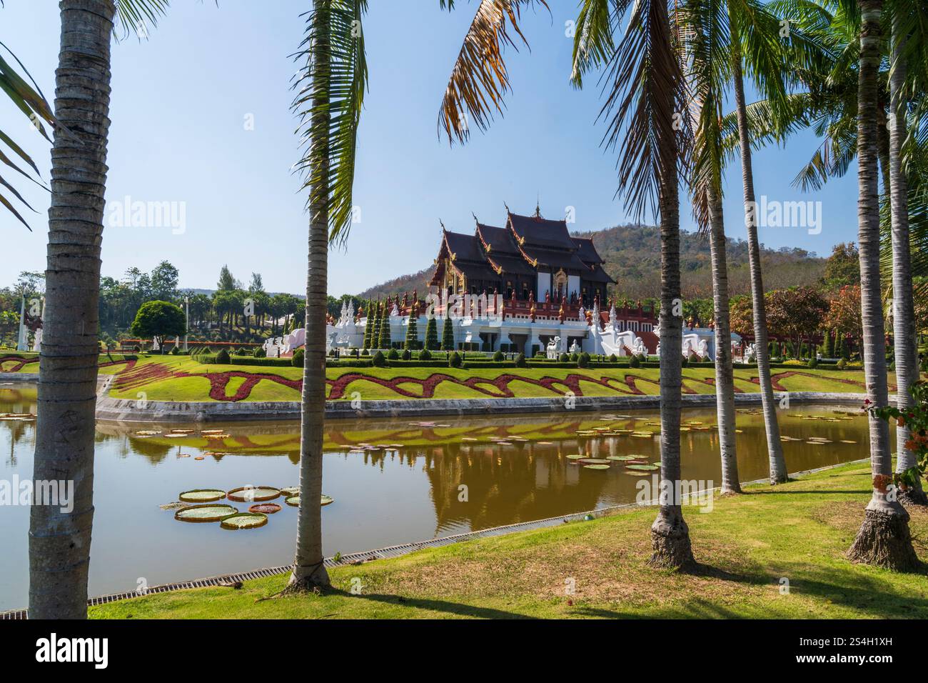 Royal Flora Ratchaphruek Garden Chiang Mai in Thailand Stock Photo - Alamy
