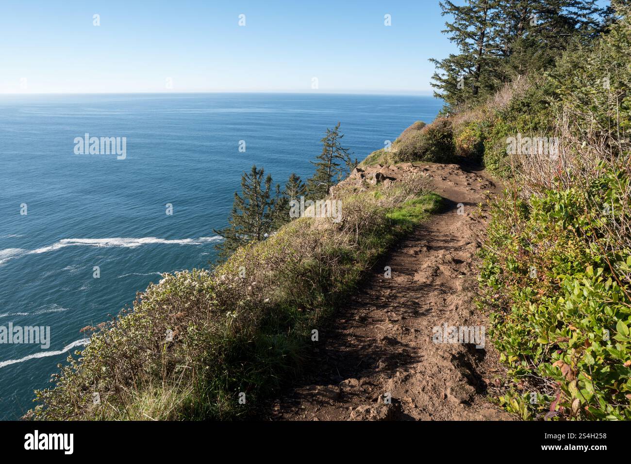 Pacific Ocean from the Cape Trail, Cape Lookout State Park, Oregon ...