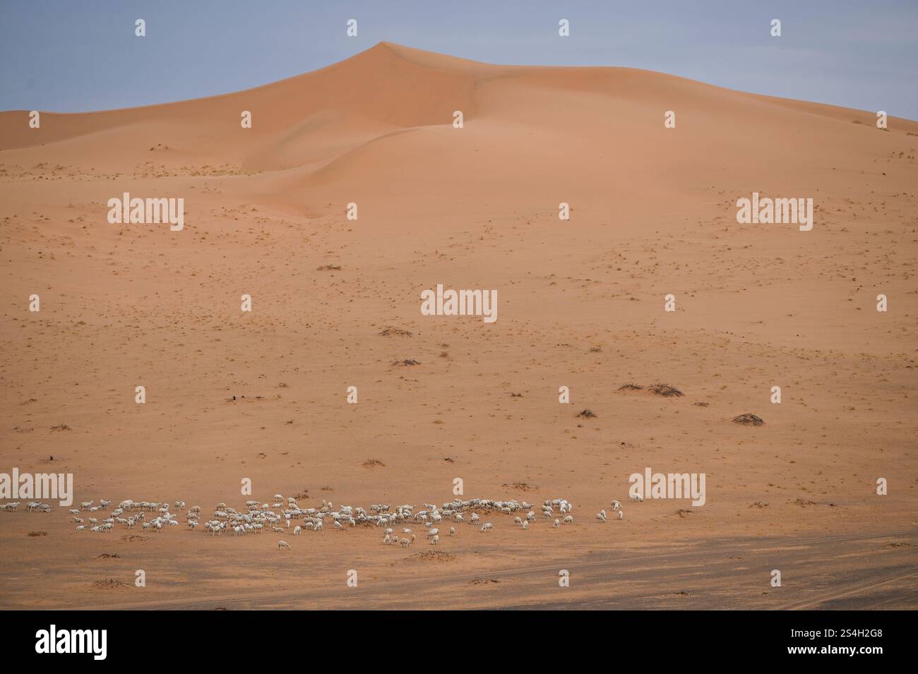 Al Duwadimi, Arabie Saoudite. 12th Jan, 2025. paysage, lanscape during ...