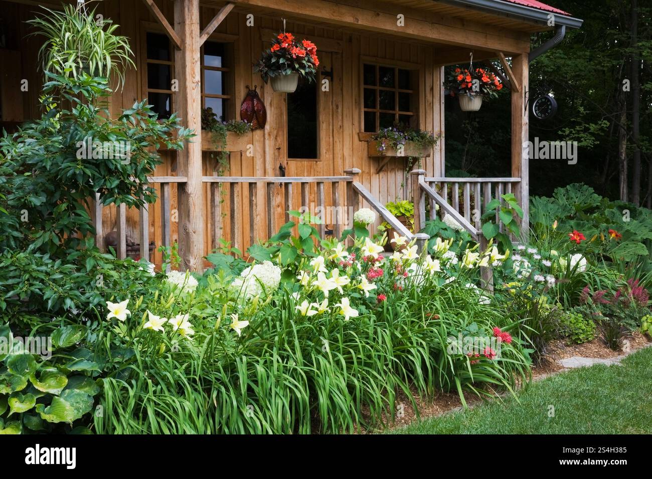 Rustic wooden storage shed - workshop and mixed borders with white and ...