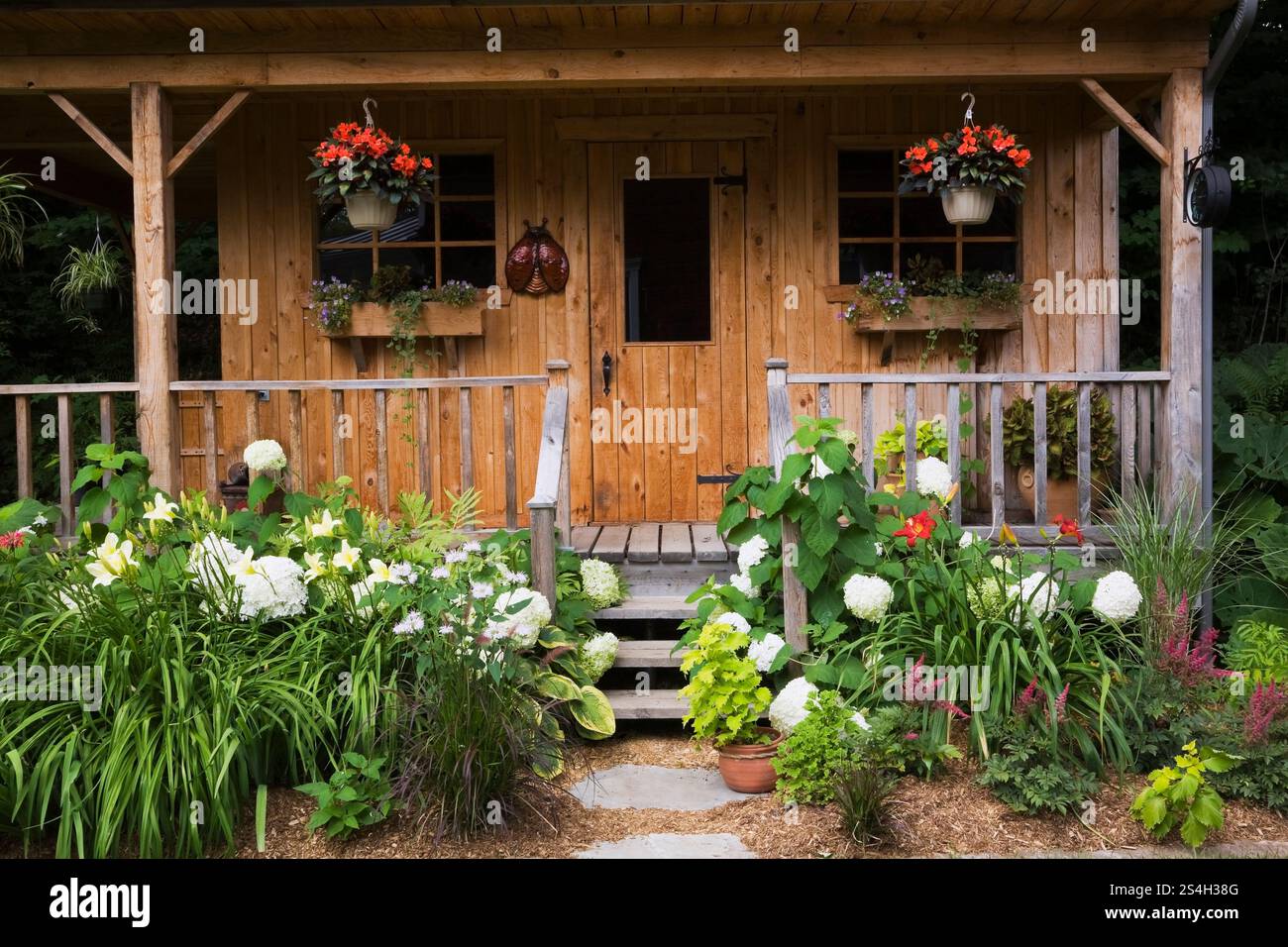 Rustic wooden storage shed - workshop and mixed borders with white and ...