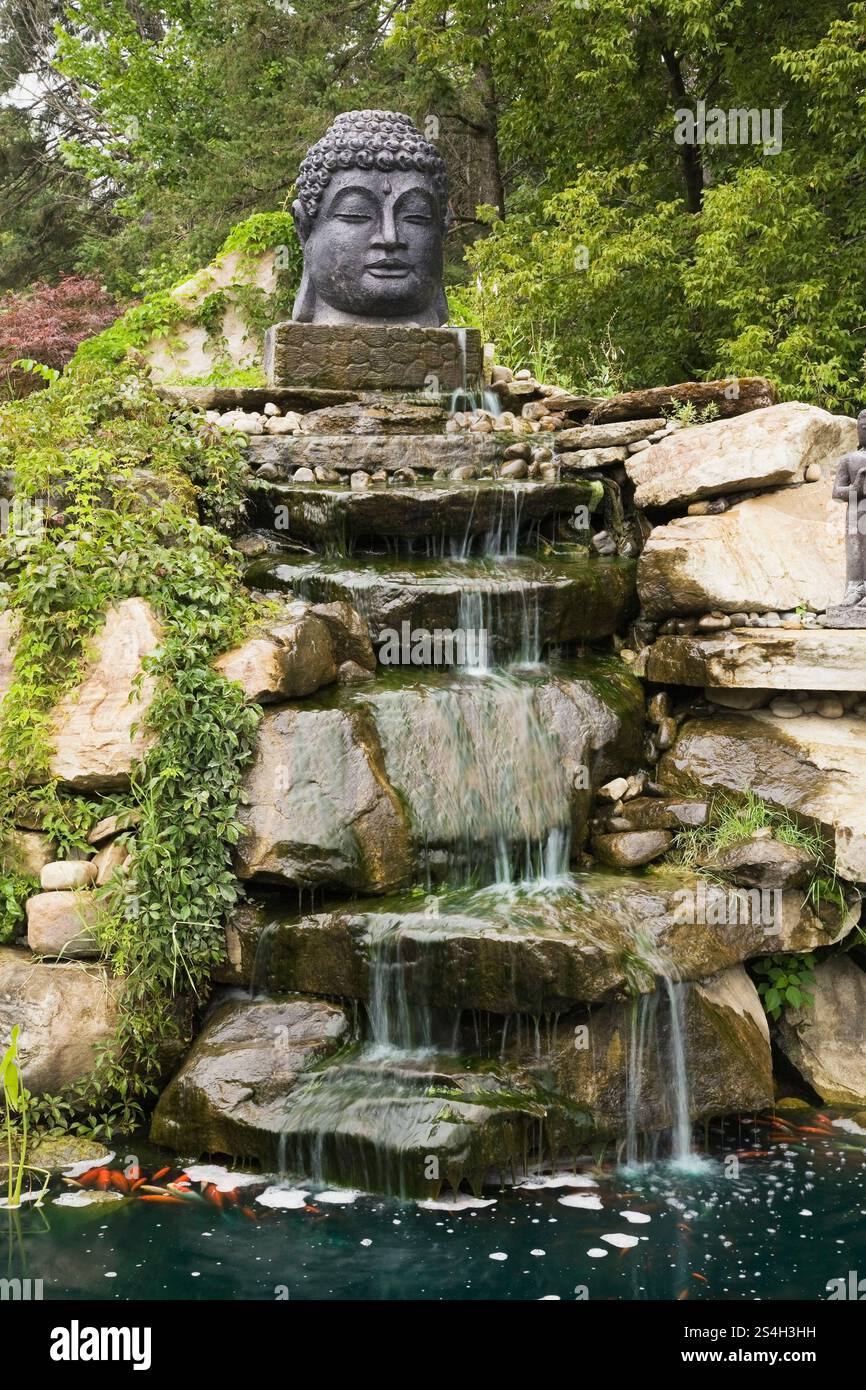 Sculptured buddha head on top of cascading waterfall with Carassius ...
