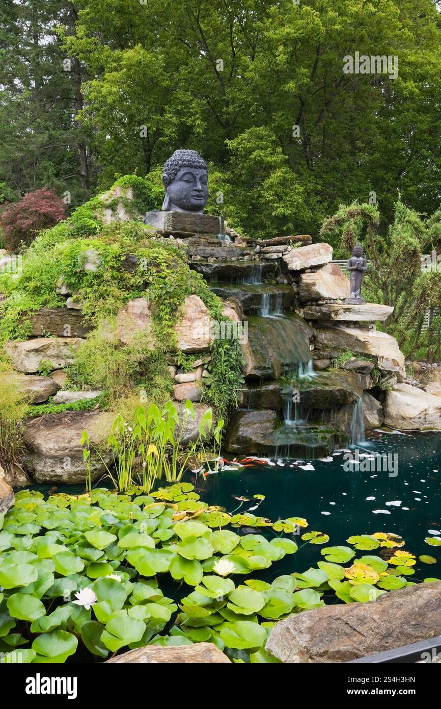 Sculptured buddha head on top of cascading waterfall with Carassius ...
