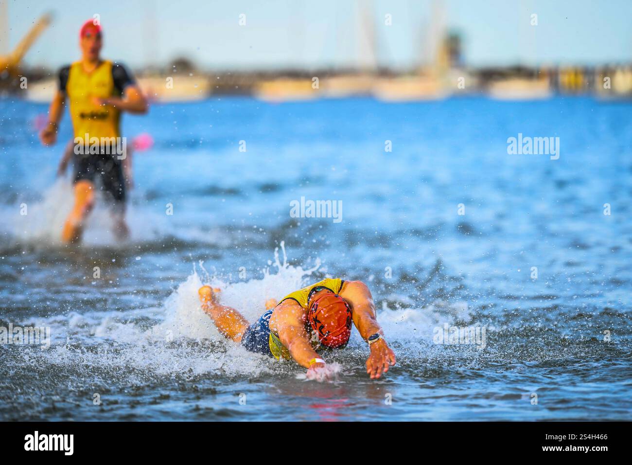 Melbourne, Australia. 12th Jan, 2025. Elite athlete is seen diving ...