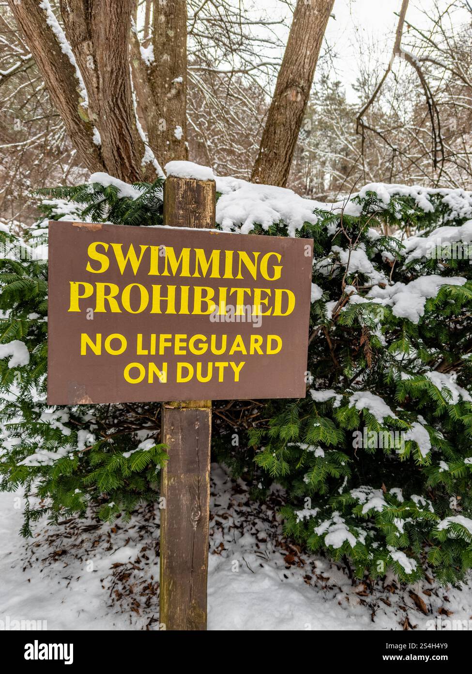 Weathered wood sign, Swimming Prohibited No Lifeguard on Duty, in ...