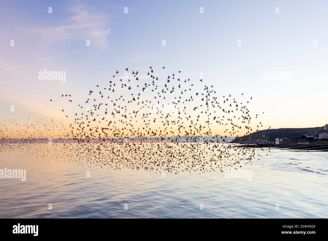 Eastbourne, UK. 12th Jan 2025. Spectacular sights in Eastbourne this ...