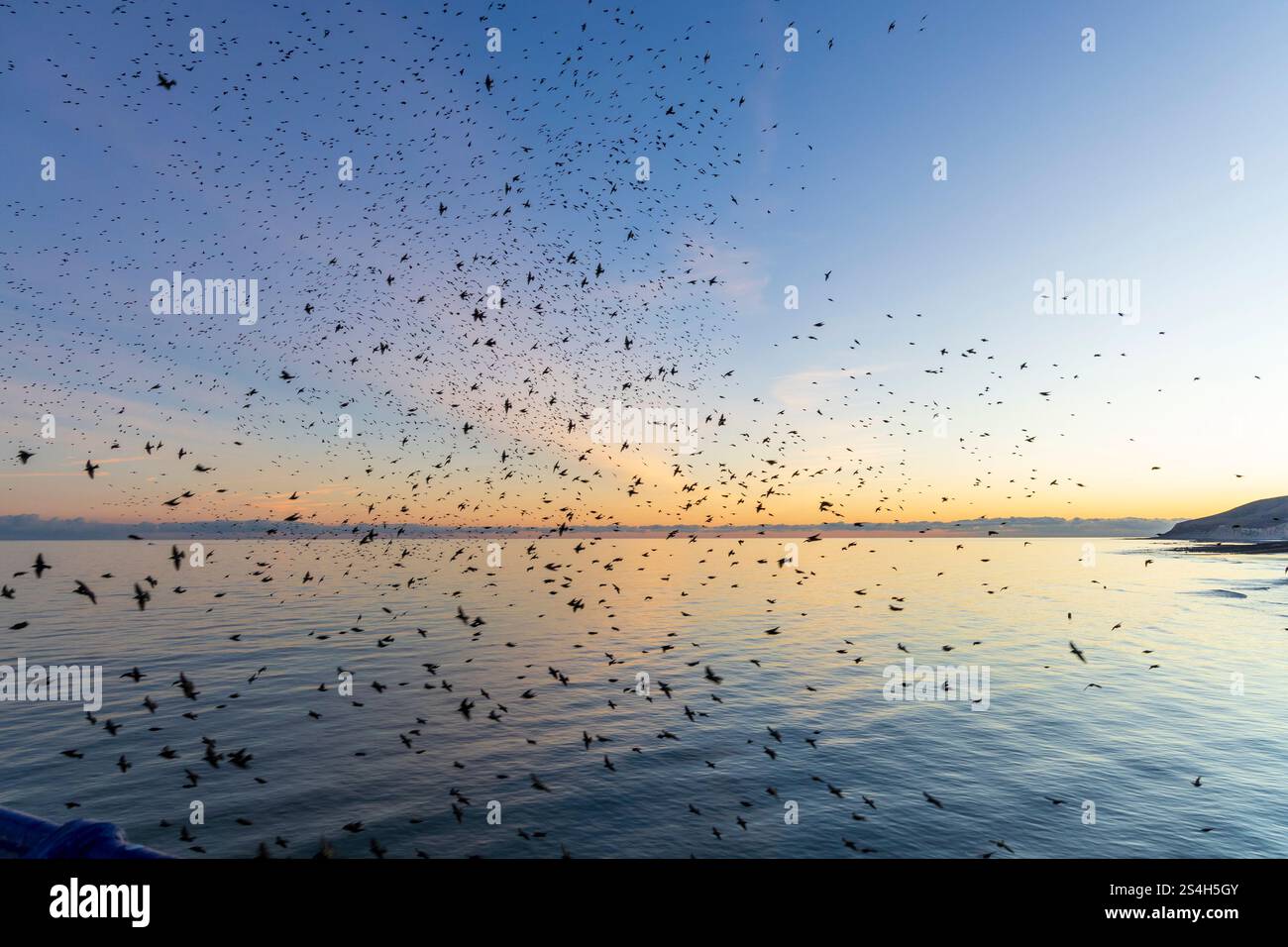 Eastbourne, UK. 12th Jan 2025. Spectacular sights in Eastbourne this ...