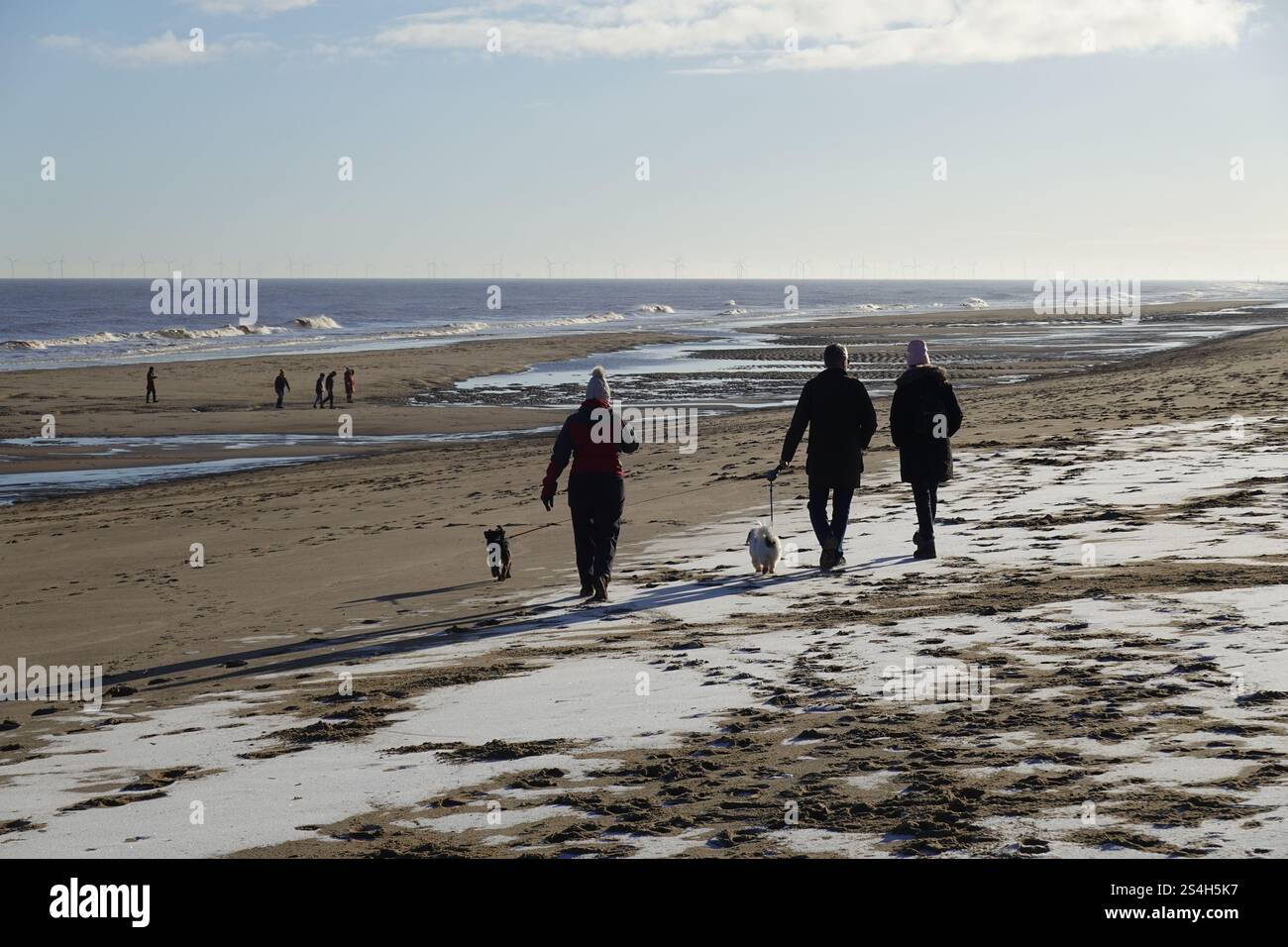 People walking dogs on leads across the sand on an icy morning on ...