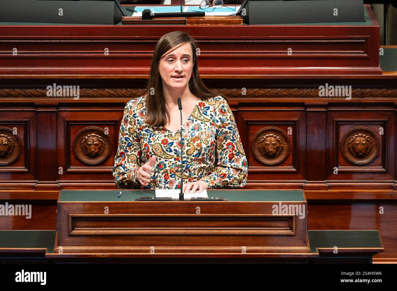 Kristien Verbelen (Vlaams Belang) at the plenary session of the Chamber ...