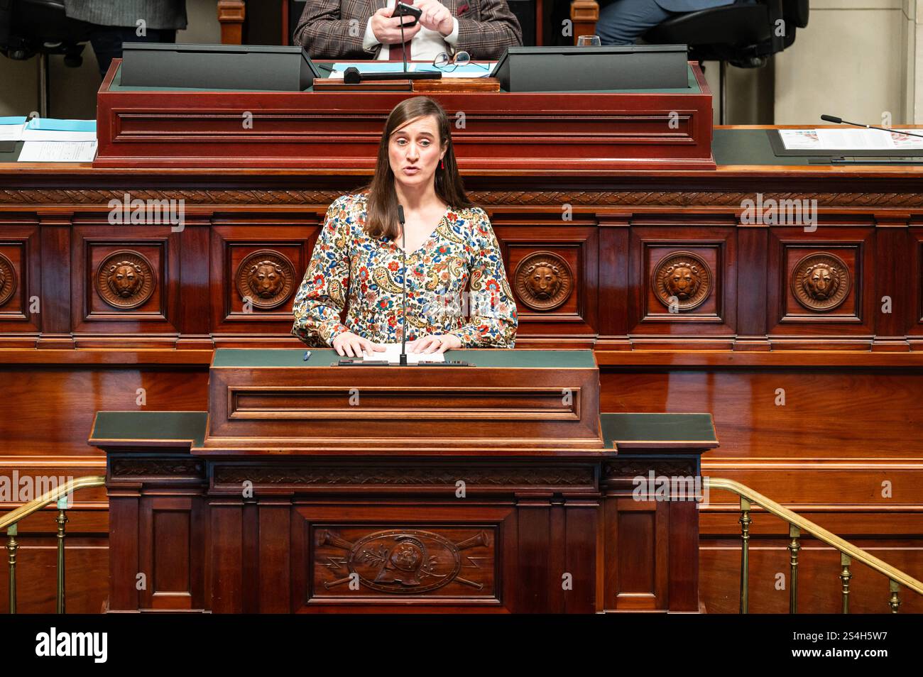 Kristien Verbelen (Vlaams Belang) at the plenary session of the Chamber ...