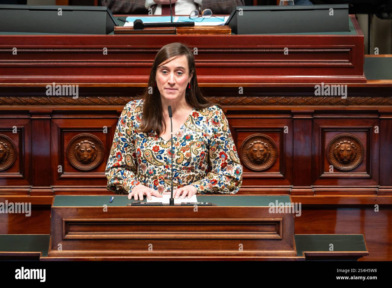 Kristien Verbelen (Vlaams Belang) at the plenary session of the Chamber ...