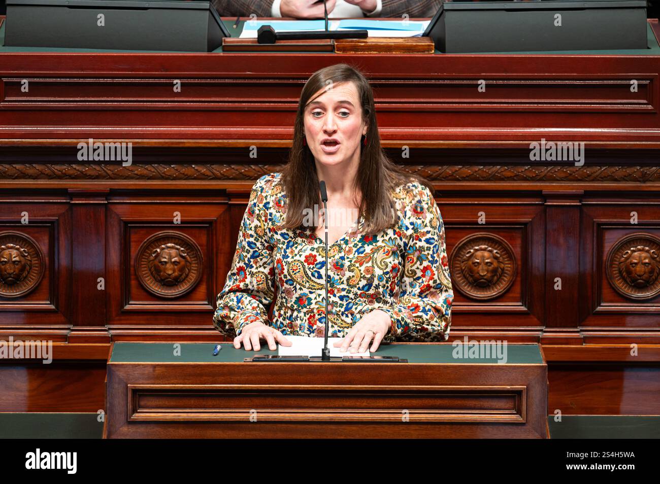 Kristien Verbelen (Vlaams Belang) at the plenary session of the Chamber ...