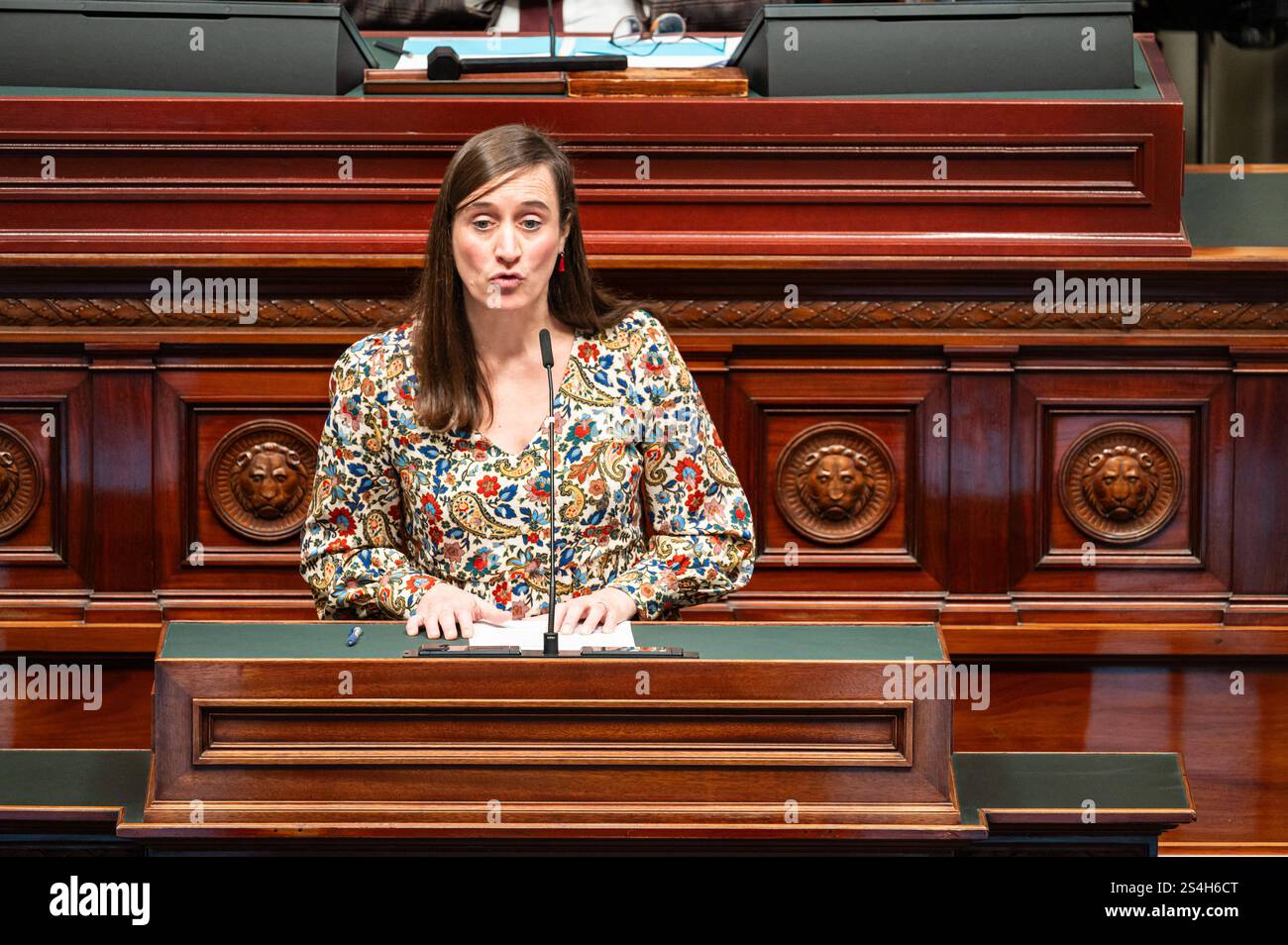 Kristien Verbelen Vlaams Belang at the plenary session of the Chamber ...