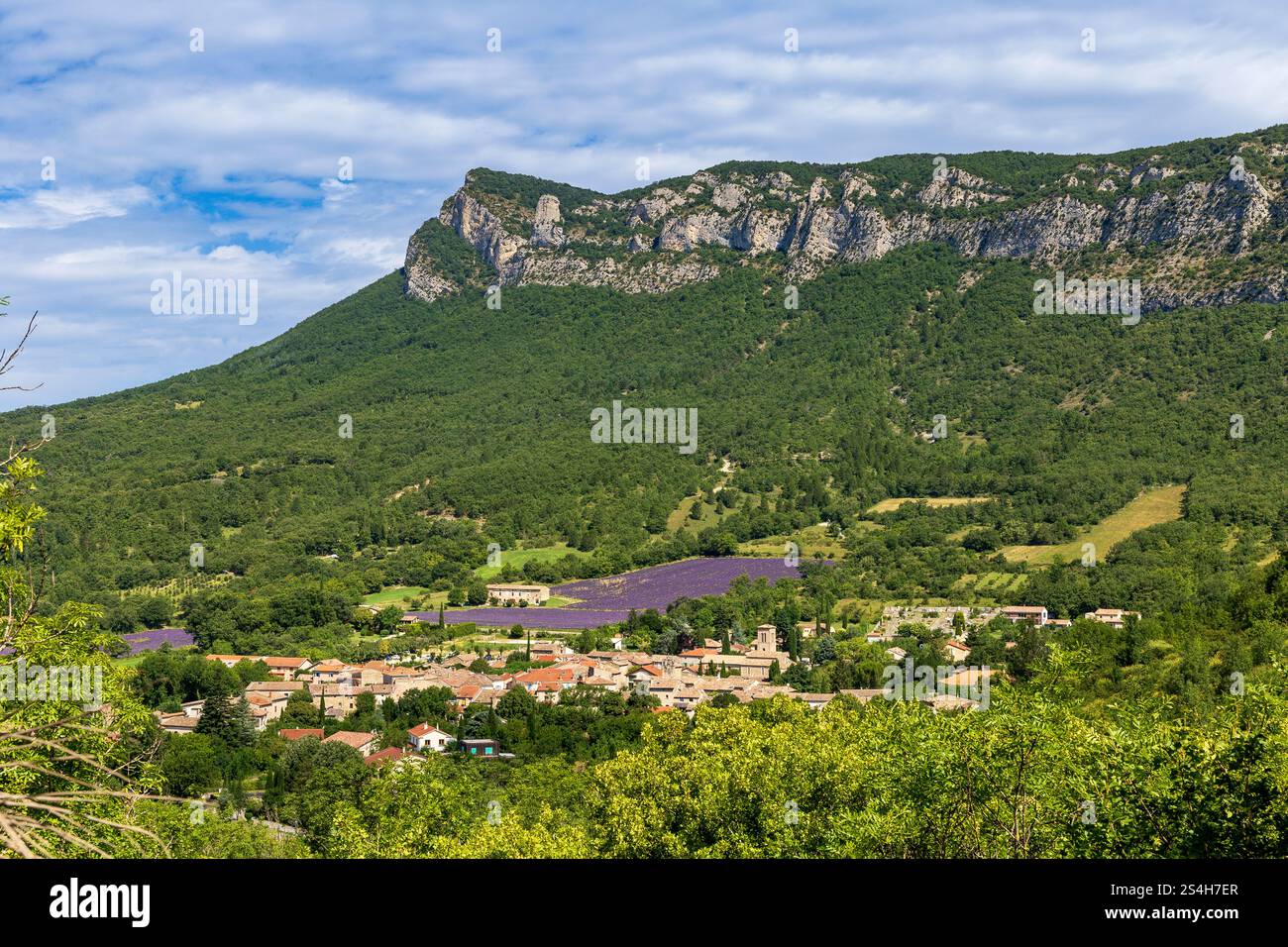 Under the synclinal mountainSaou, Drôme, France, door of Provence. The ...