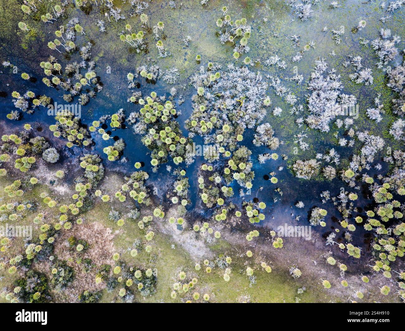Ibera wetlands aerial hi-res stock photography and images - Alamy