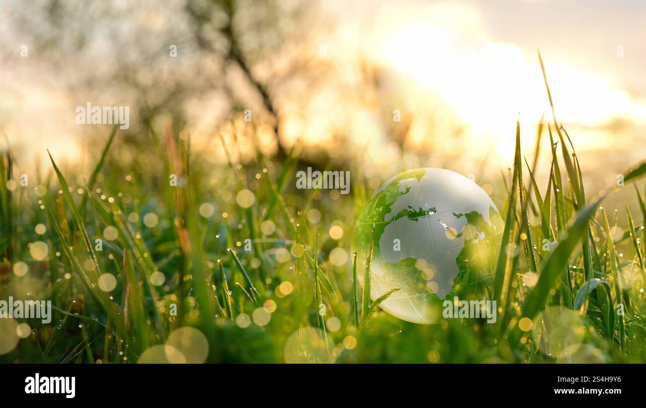 Glass globe planet new year earth ball and grass environment, save a ...