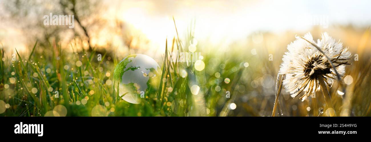 Glass globe earth ball europe on green grass forest with morning sun ...