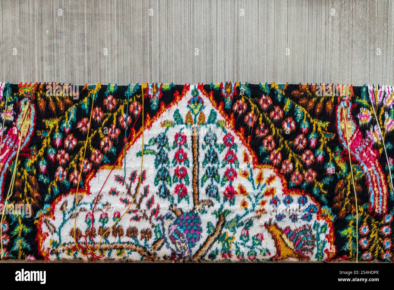 Partially completed knotting threads for carpet on loom in factory near ...