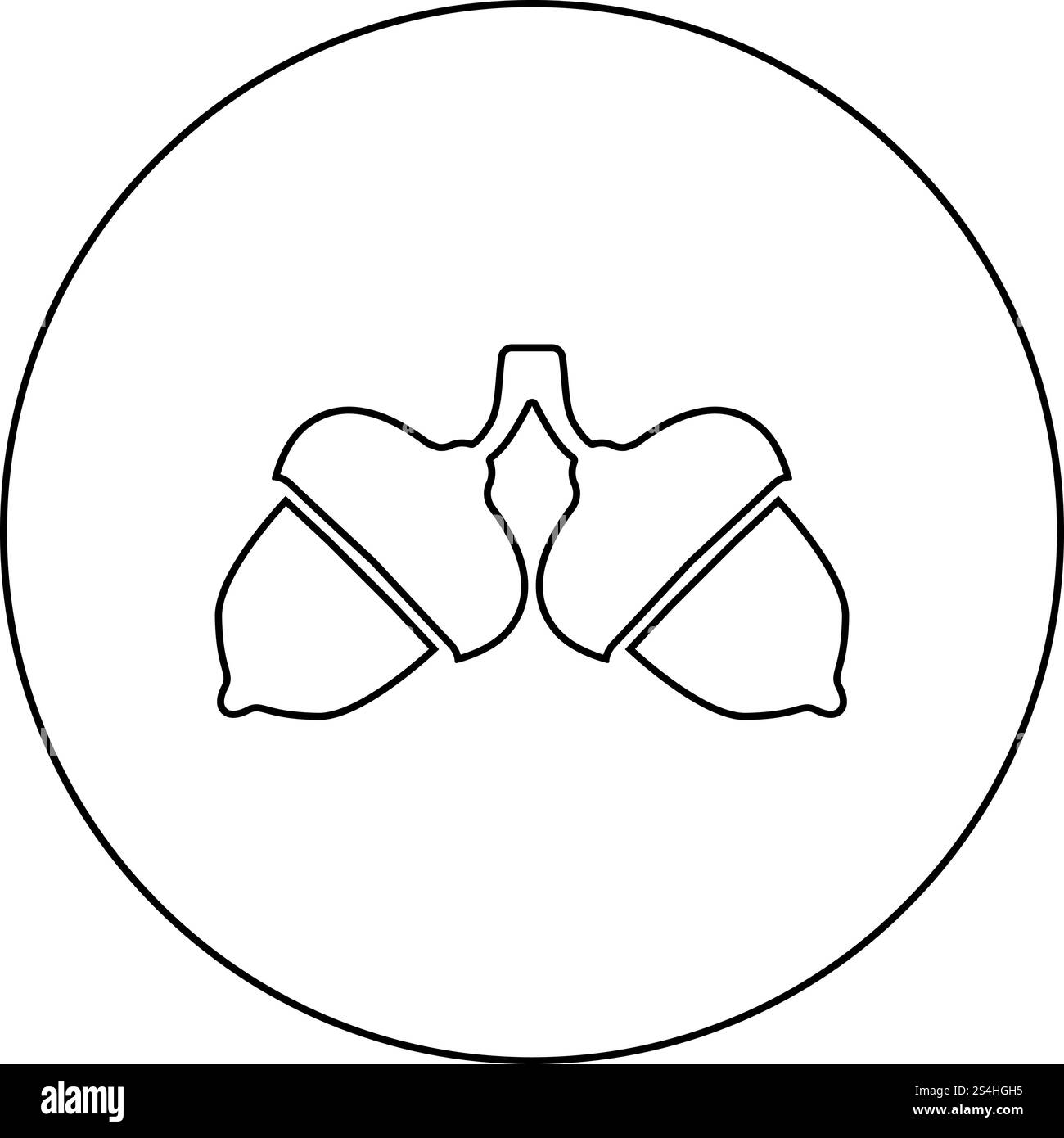 Two acorn icon in circle round outline black color vector illustration ...